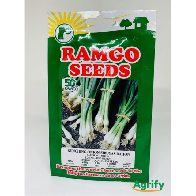 Bunching Onion Sibuyas Dahon Seeds 800Seeds Ramgo Binhi | Shopee ...