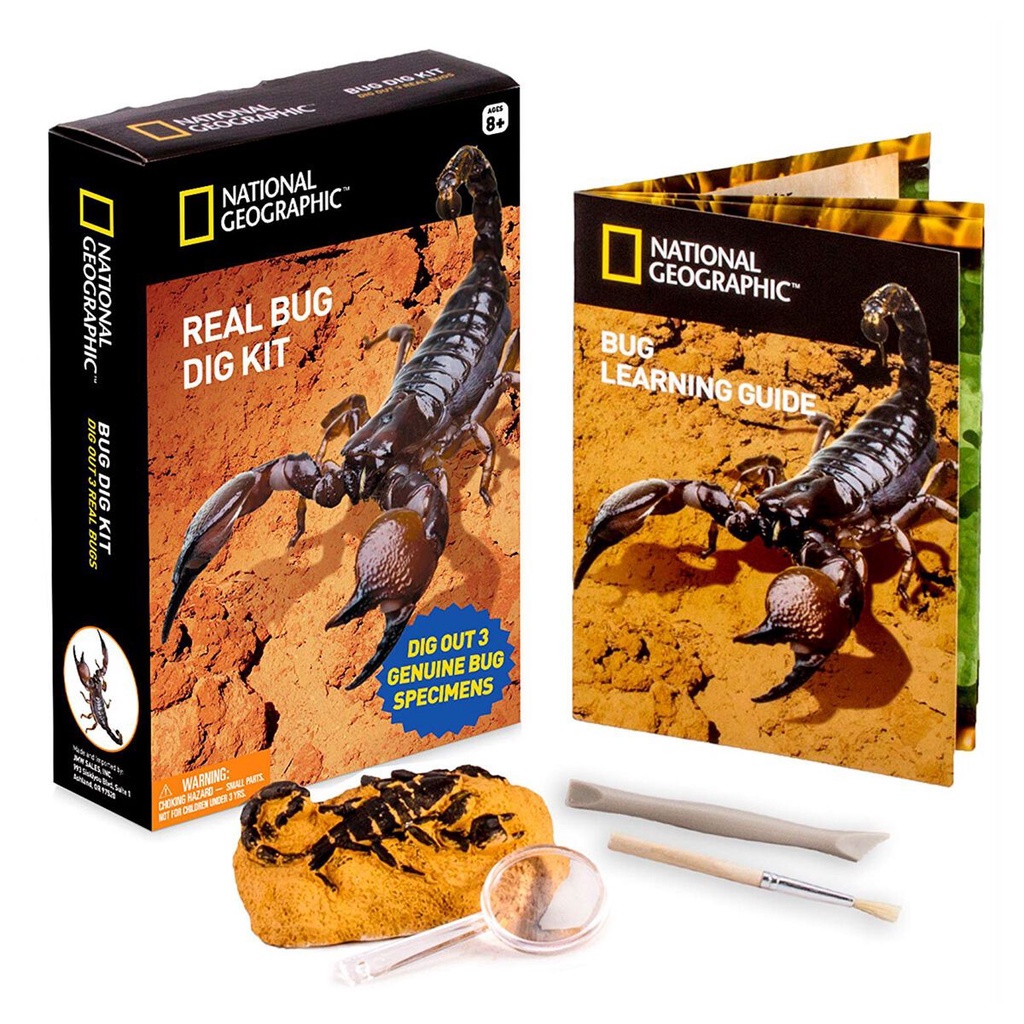 National Geographic Real Bug Dig Kit / Educational Toys (Original ...