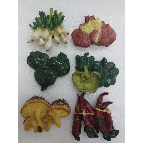 Ref magnet set of 12pcs VEGETABLES asstd design | Shopee Philippines