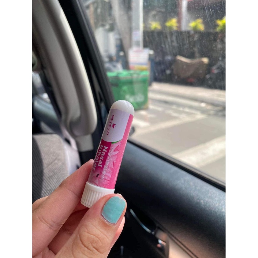 FBP GINGER HIMALAYAN NASAL INHALER | Shopee Philippines