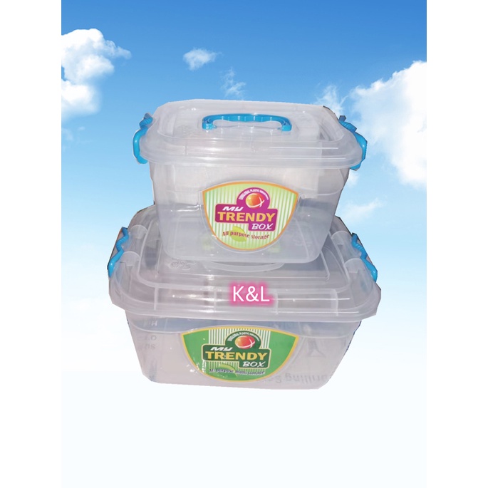 Trendy Box/Utility Storage Box/Snack Box/Organizer Box (9703) | Shopee ...