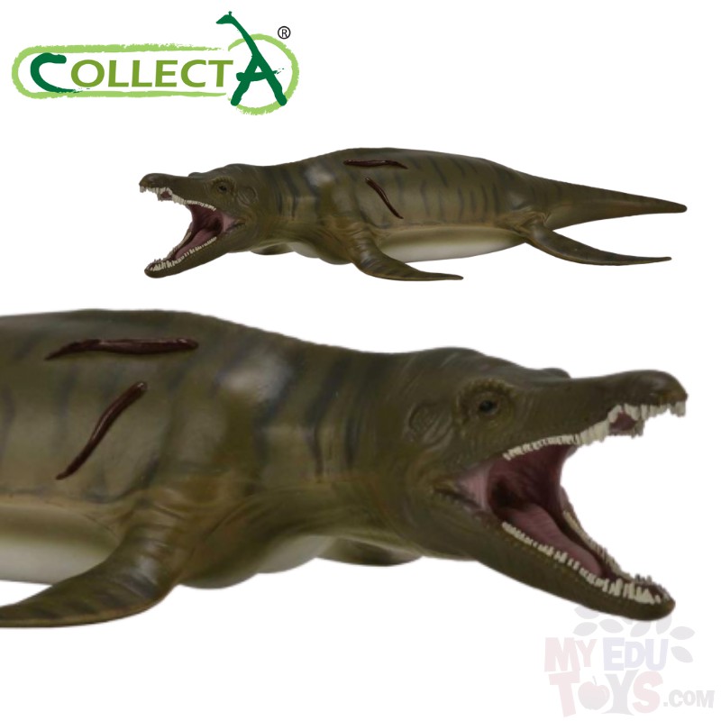 Pliosaurus Deluxe 1:40 Scale - Collecta 88699 Prehistoric Life Dinosaur ...