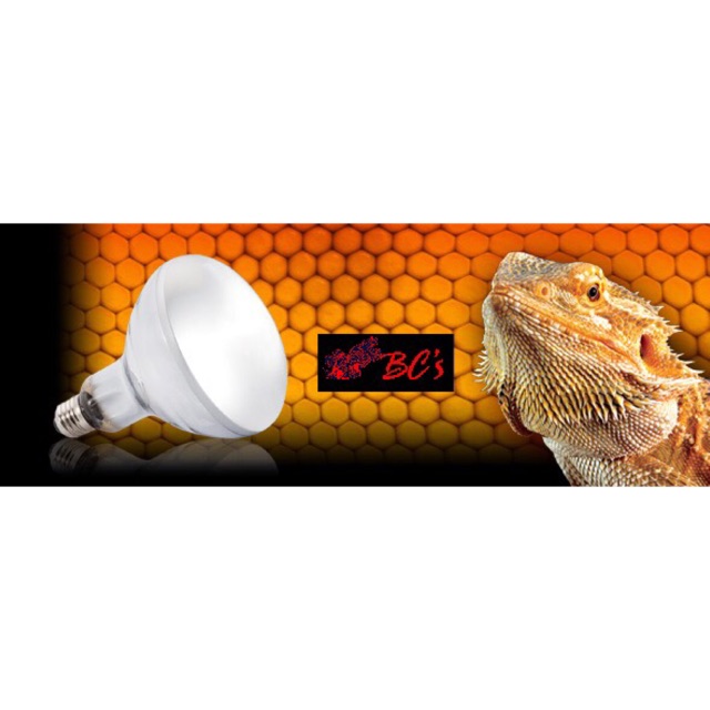 Exo terra SOLAR GLO / SUN SIMULATING BULB | Shopee Philippines