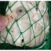 (100 m)-0.75 inch hole x5ft height x100 meters-Range Net/Chicken Net ...