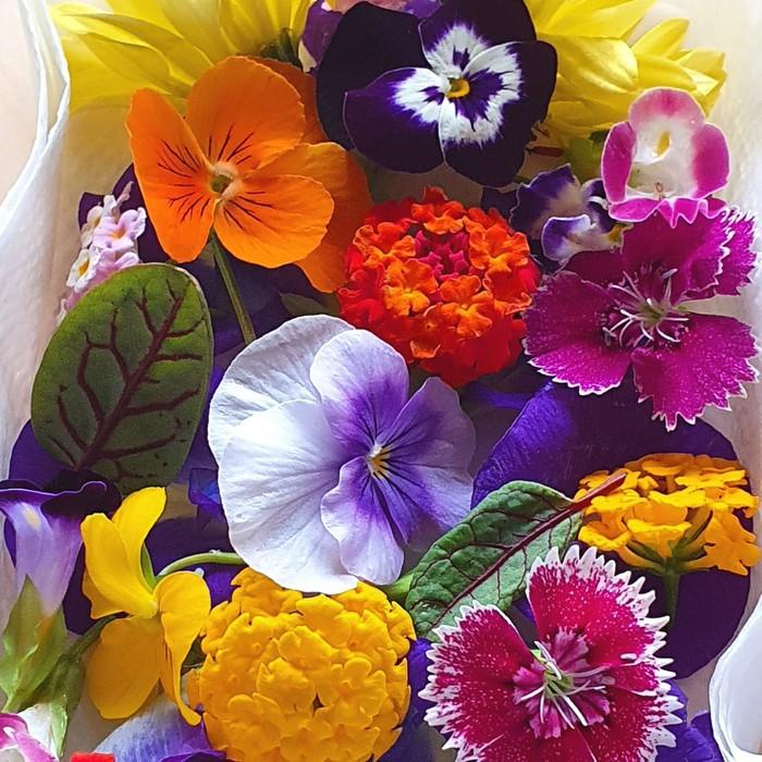 Okshop | Mix Edible Flower Fresh Flowers Food Topping Flowers (10 Grams ...