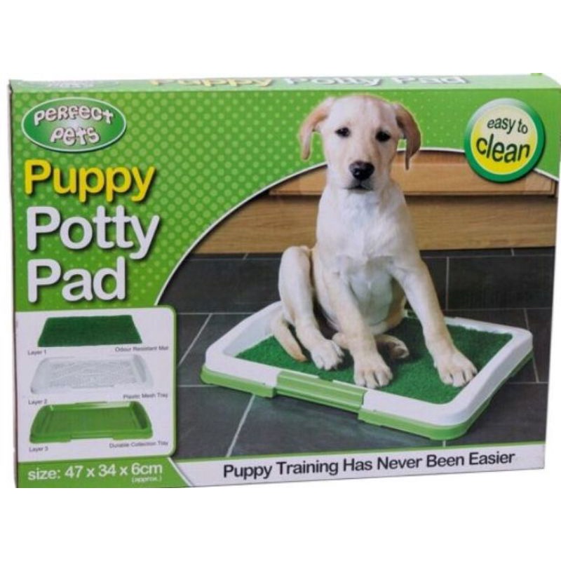 puppy,potty,pad for cute dog | Shopee Philippines