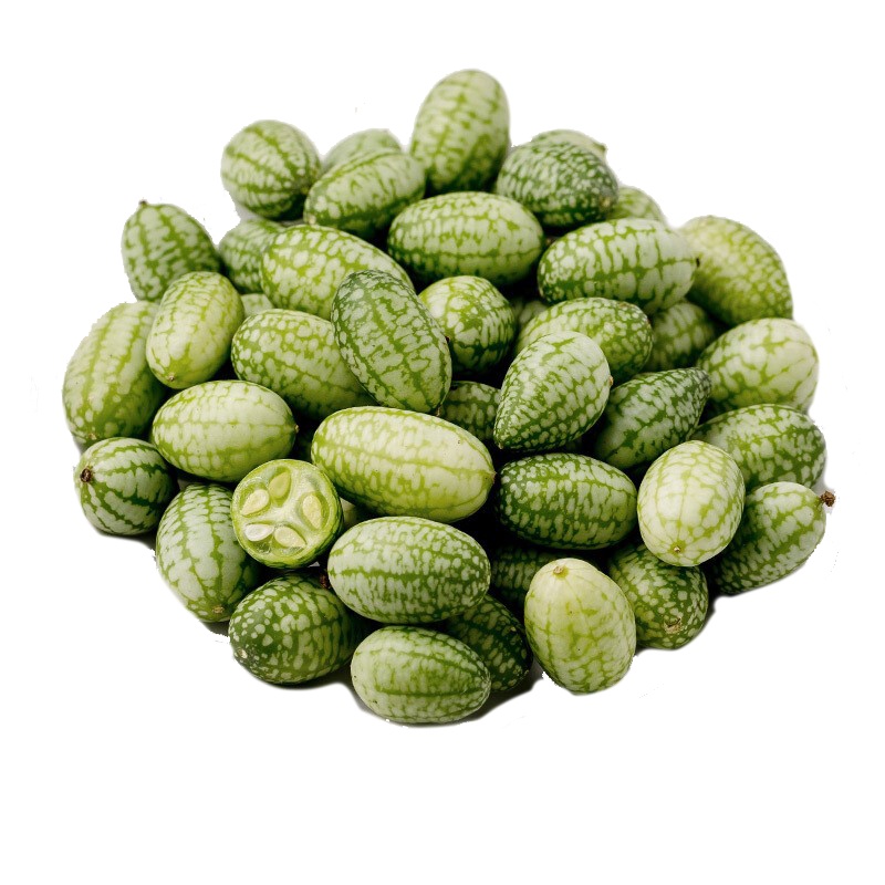 FVFlower 10 Seeds Mini Melon | Japan Sweet Thumb Watermelon | Shopee ...