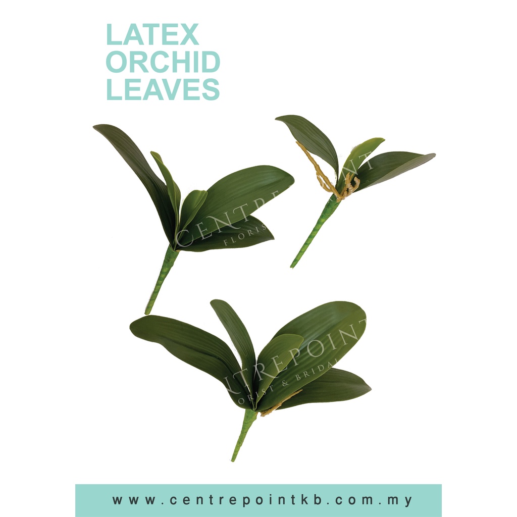 Rubber Latex Butterfly Orchid Leaves X5 (READY STOCK) | Shopee Philippines