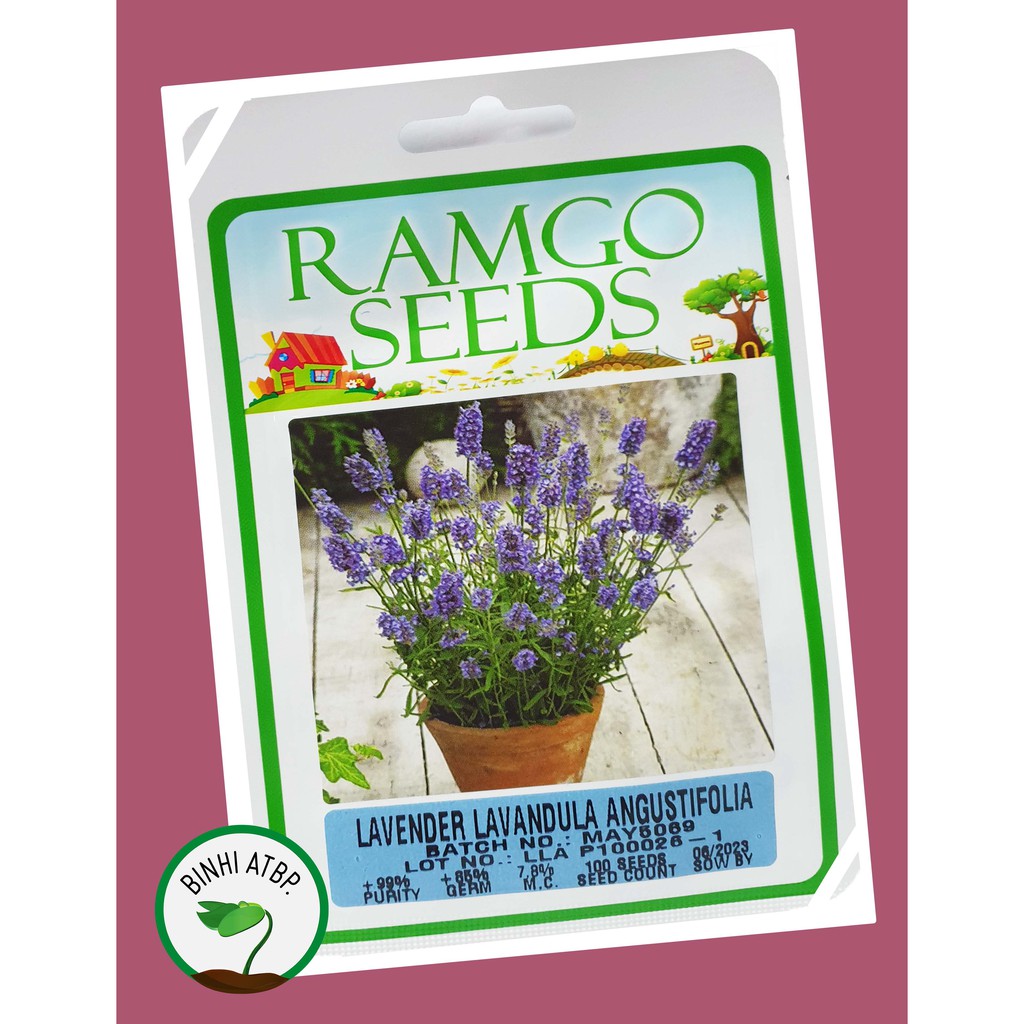 Ramgo Lavender Lavandula Angustifiola Herb Seeds | Shopee Philippines