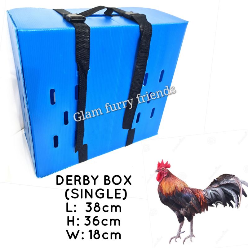 PLASTIC DERBY/CHICKEN/ ROOSTER WATERPROOF COLLAPSIBLE TRAVEL BOX W ...