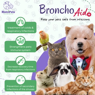 UBO SIPON LAGNAT ASO PUSA KENNEL COUGH Broncho Aid 60ML FEVER,COUGH ...