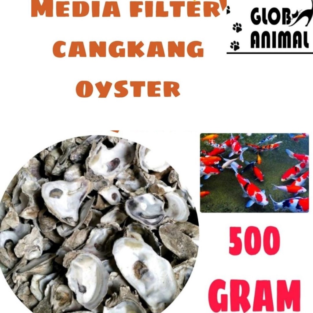 Media FILTER Fish Coi Cutch Clamshell OYSTER SHELL 500 GRAM PH | Shopee ...