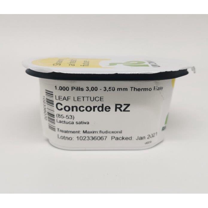 LETTUCE CONCORDE RZ THERMO PILL 1000 PILLS PELLETTED BY RIJK ZWAAN ...