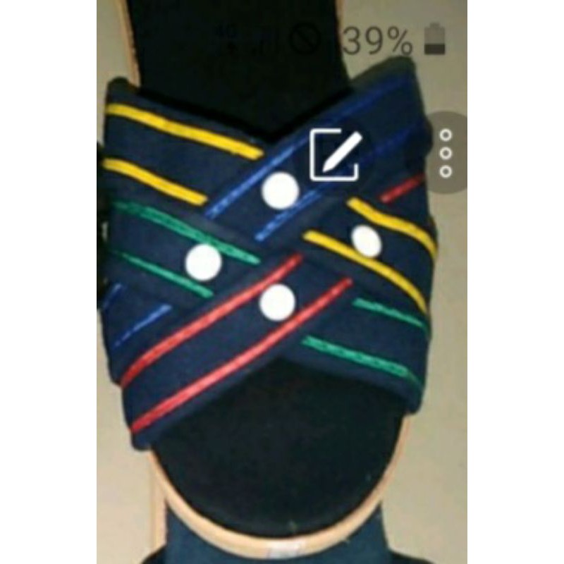 Alpombra House Slippers for Men | Shopee Philippines