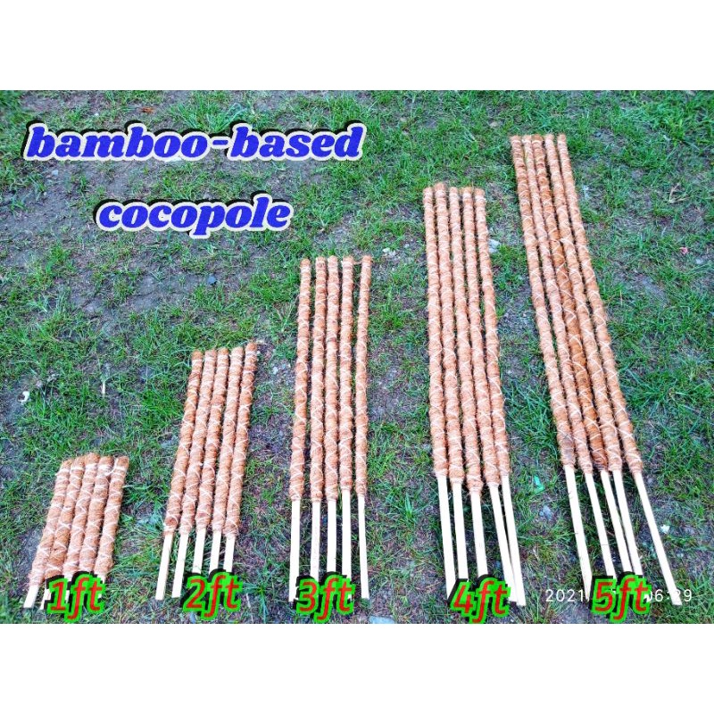 Bamboo-based cocopole 1ft/2ft/3ft/4ft/5ft / coco pole for your plants ...