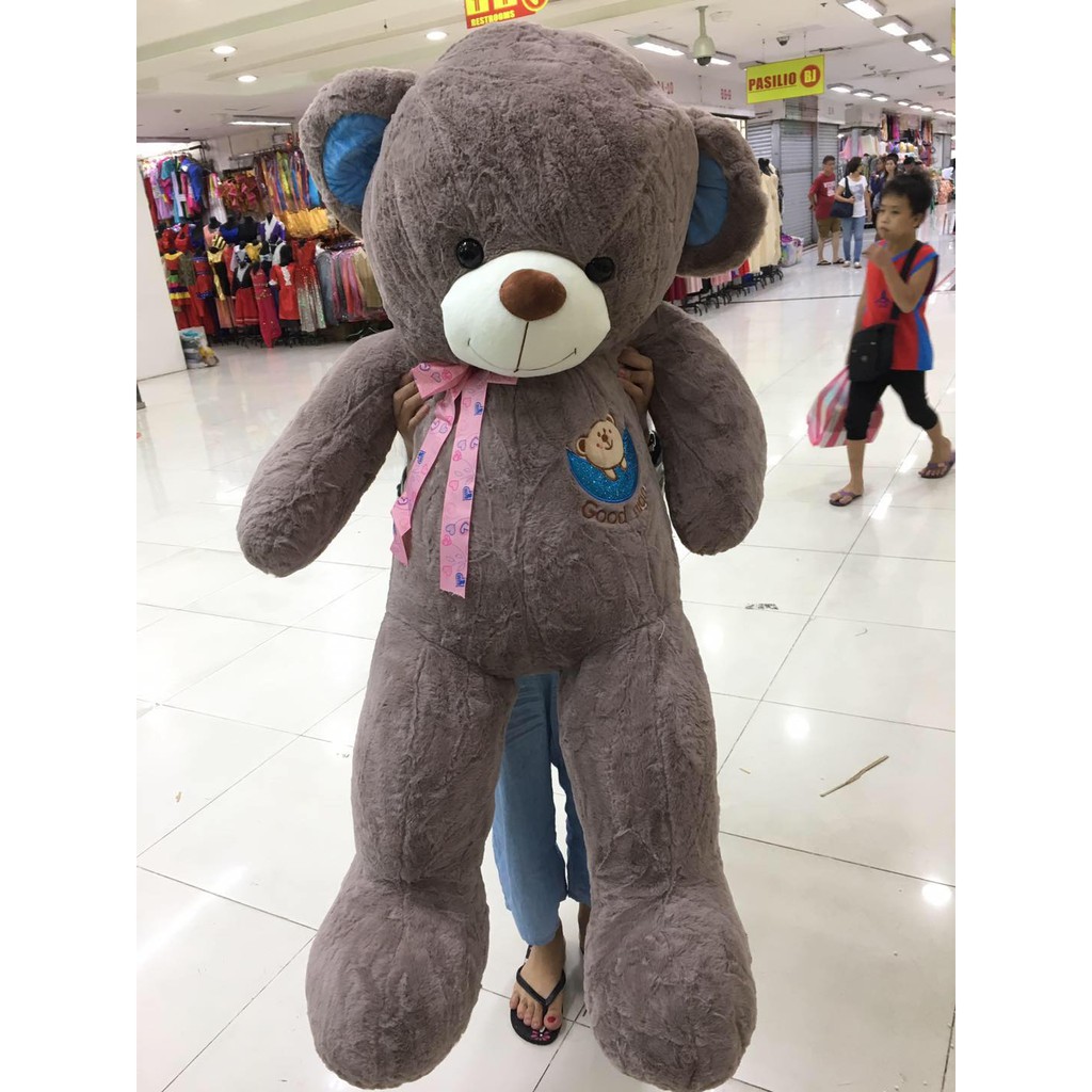 Korean Teddy Bear Almost 5ft Human Size stuffed toy gift cod | Shopee ...