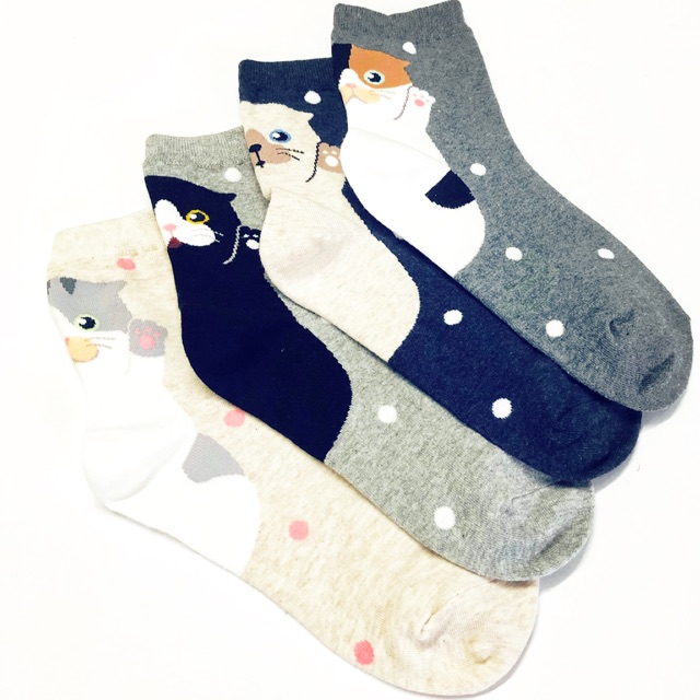 CAT SERIES Rear Hello Calico Black Tabby Siamese -Korean Iconic Socks ...