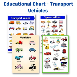 Transport / Vehicles Educational Chart | A4 Size | Laminated ...