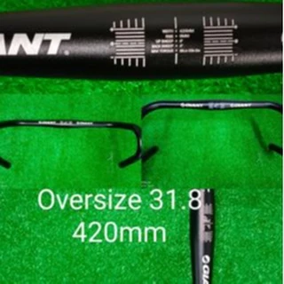 Shop giant for Sale on Shopee Philippines