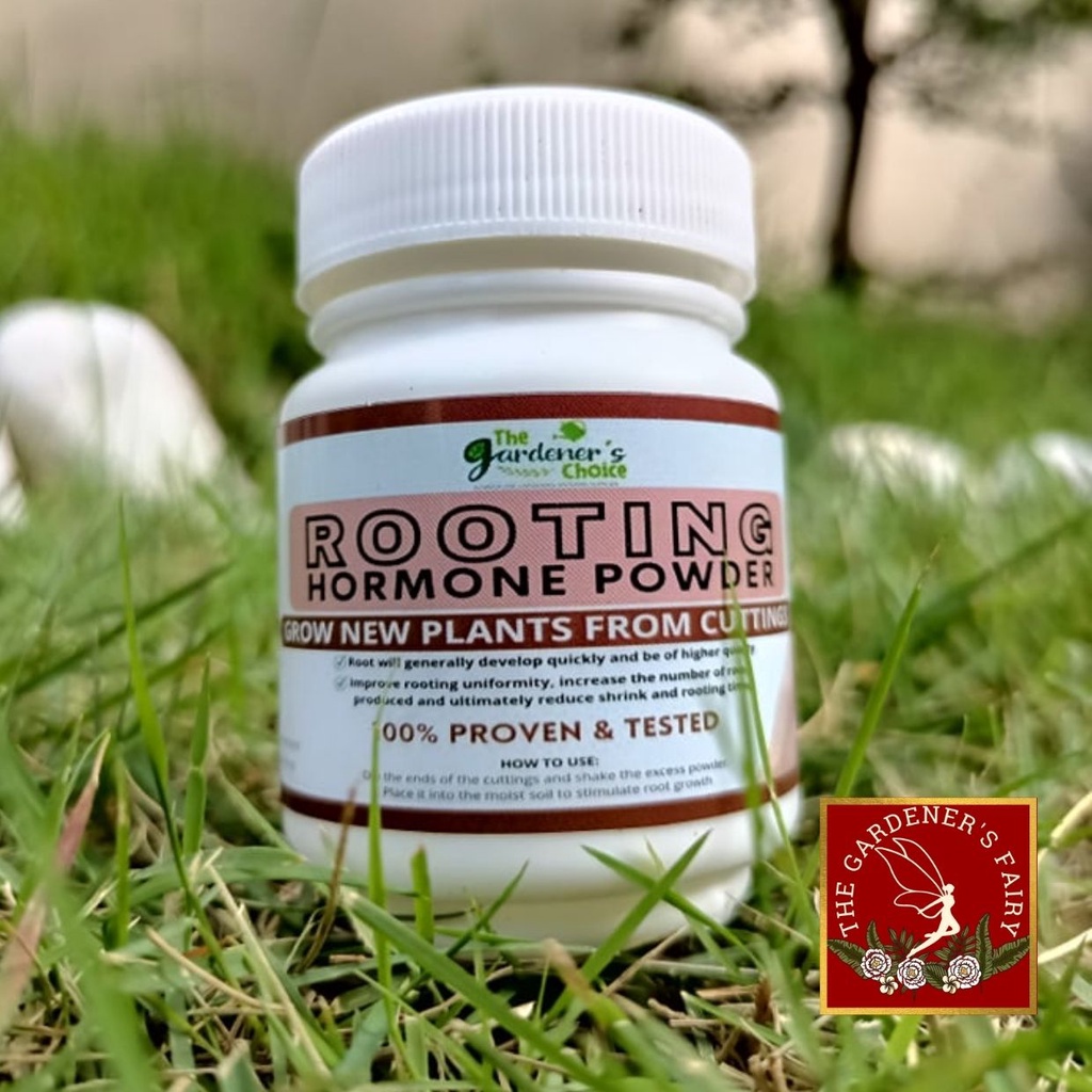 ♂Rooting Hormone Powder (50G) By The Gardener's Choice/ Best Seller ...
