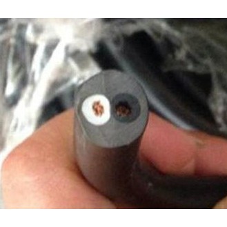 Royal Cord 2wire (omega) per meter | Shopee Philippines