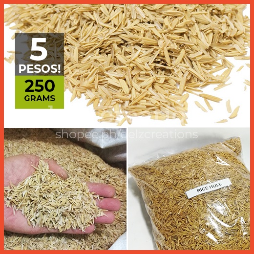 rice hulls rice husks soil mixture ipa ng palay substrate garden medium ...