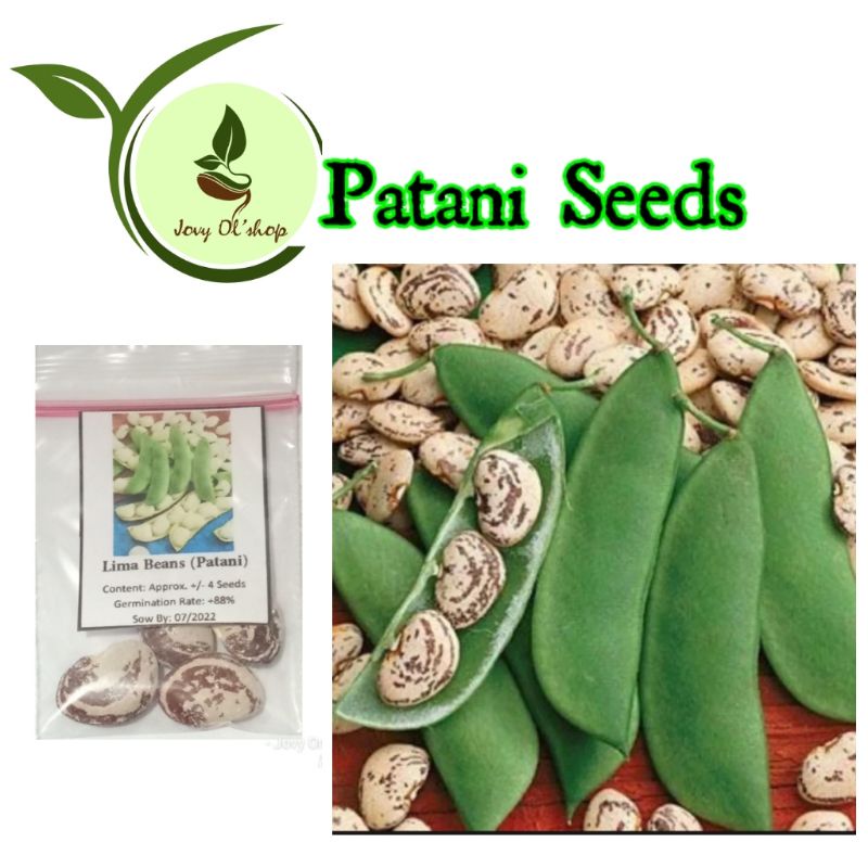 Lima or Patani Seeds | Shopee Philippines