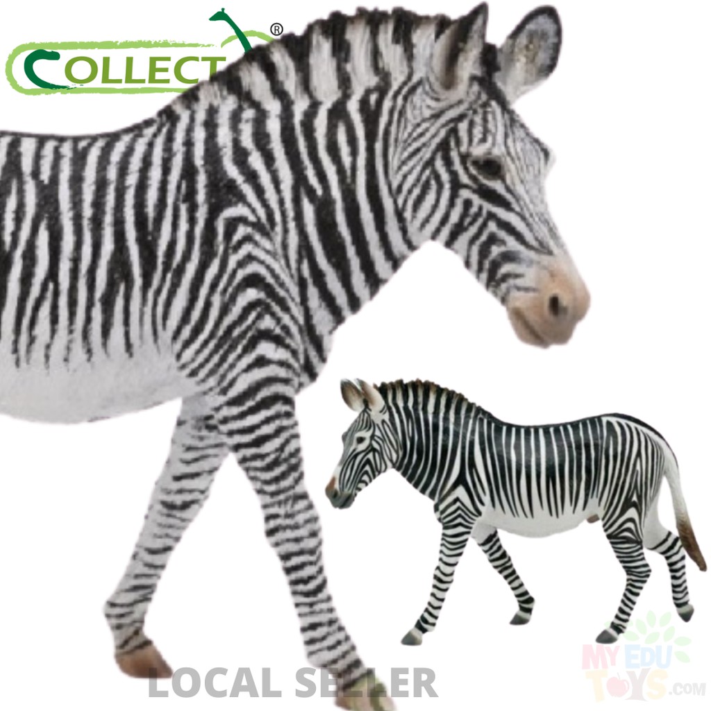Grevy's Zebra - Collecta 88773 Wild Life Animal Action Figures / Toy ...