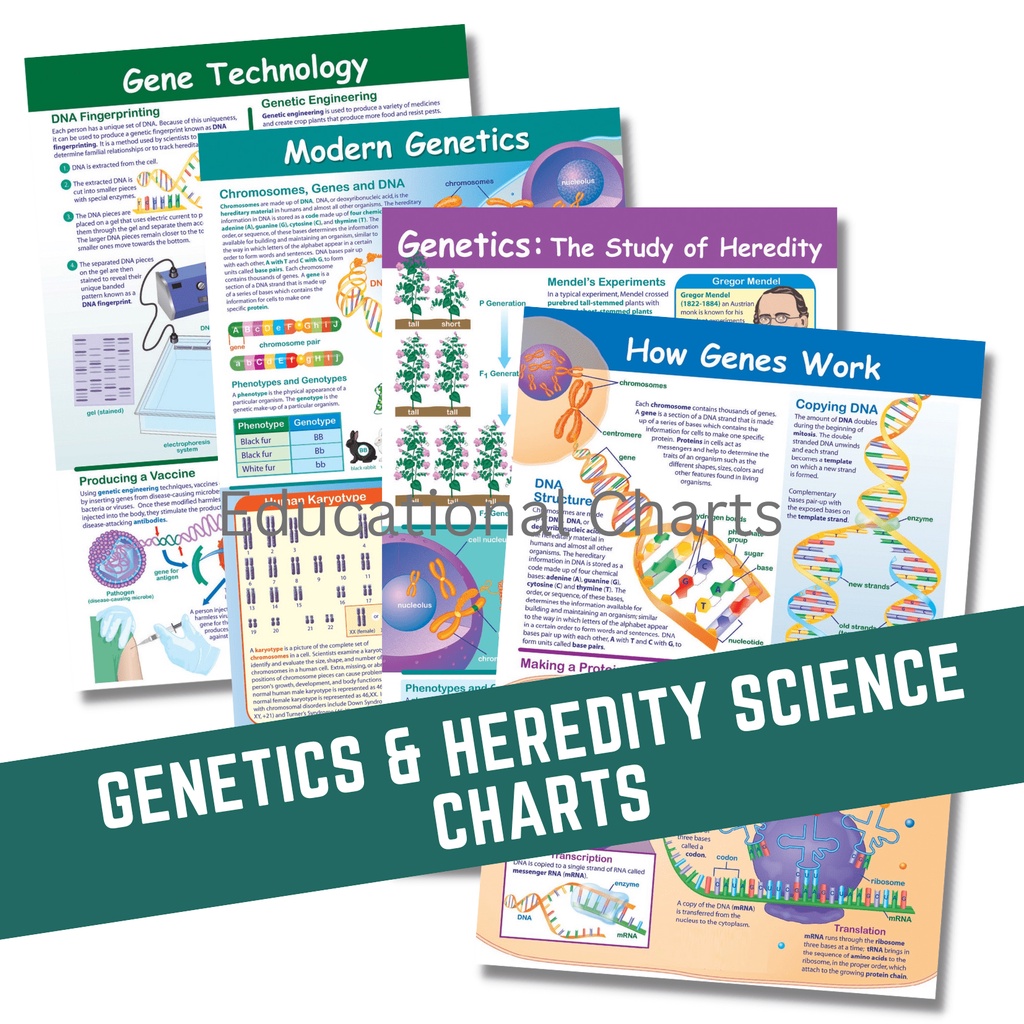 GENETICS & HEREDITY POSTERS CHARTS , A4 Size Laminated for kids ...