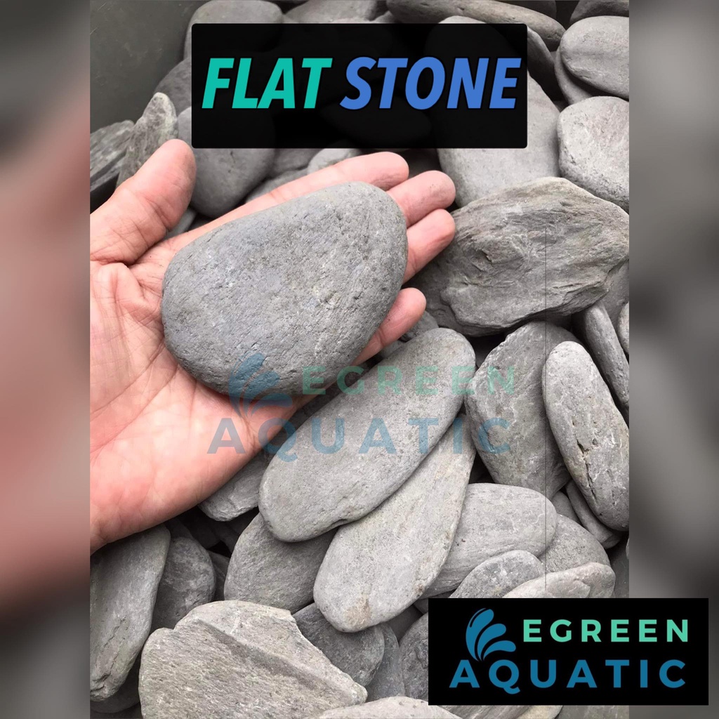 Flat Stones - 1kilo | For Aquarium Aquascape Pebbles Stone Rocks ...