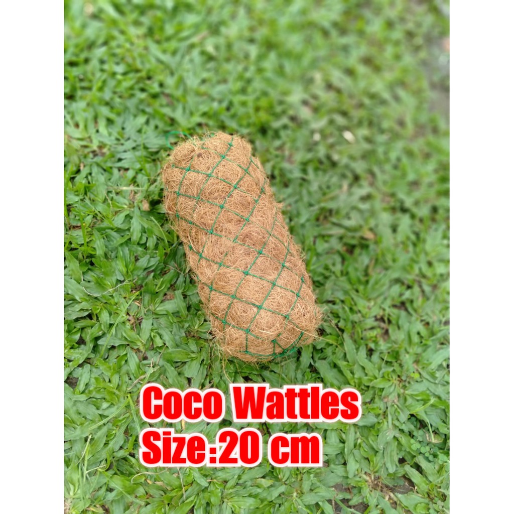 20cm Best Hand made Coco wattles for your plants(orchids)|Plant Perfect ...