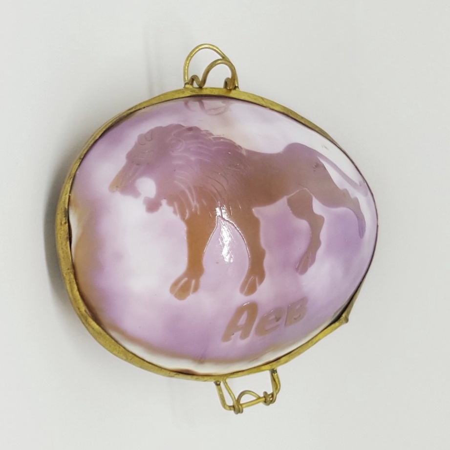 Seashell Box Jewelry Bag Ring Storage Necklace Lion Shape For Birth ...