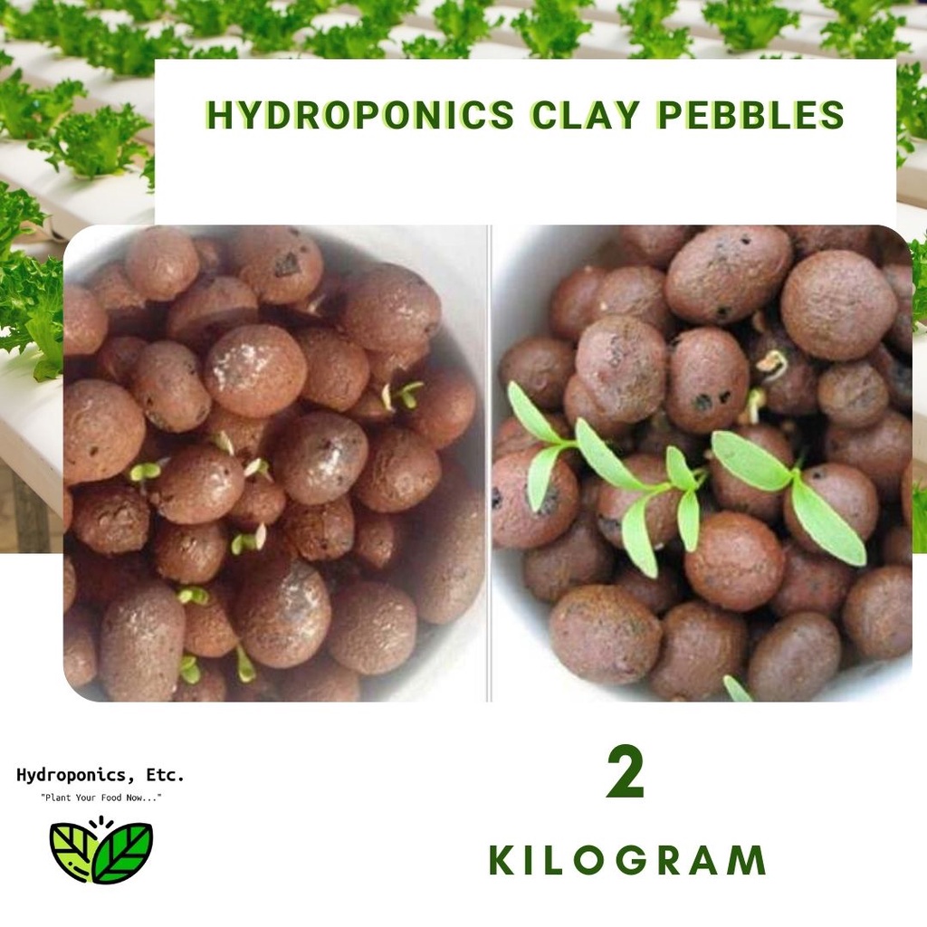 Hydroton Clay Balls (2kgs) | Shopee Philippines