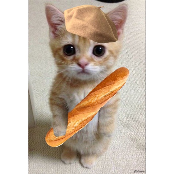 Papercraft Dudul Cute Cat Toy | Shopee Philippines