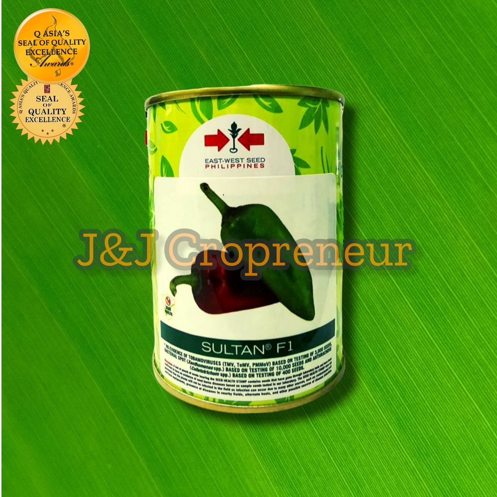 SULTAN F1 (25 GRAMS) HYBRID SWEET PEPPER / ATSAL BY EAST WEST SEEDS ...