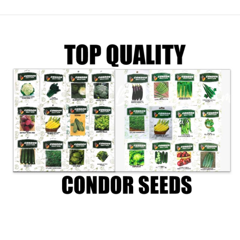 CONDOR SEEDS Pechay,Sitaw,Mustard,Okra,Bell Pepper,Upo,Talong,Onion ...