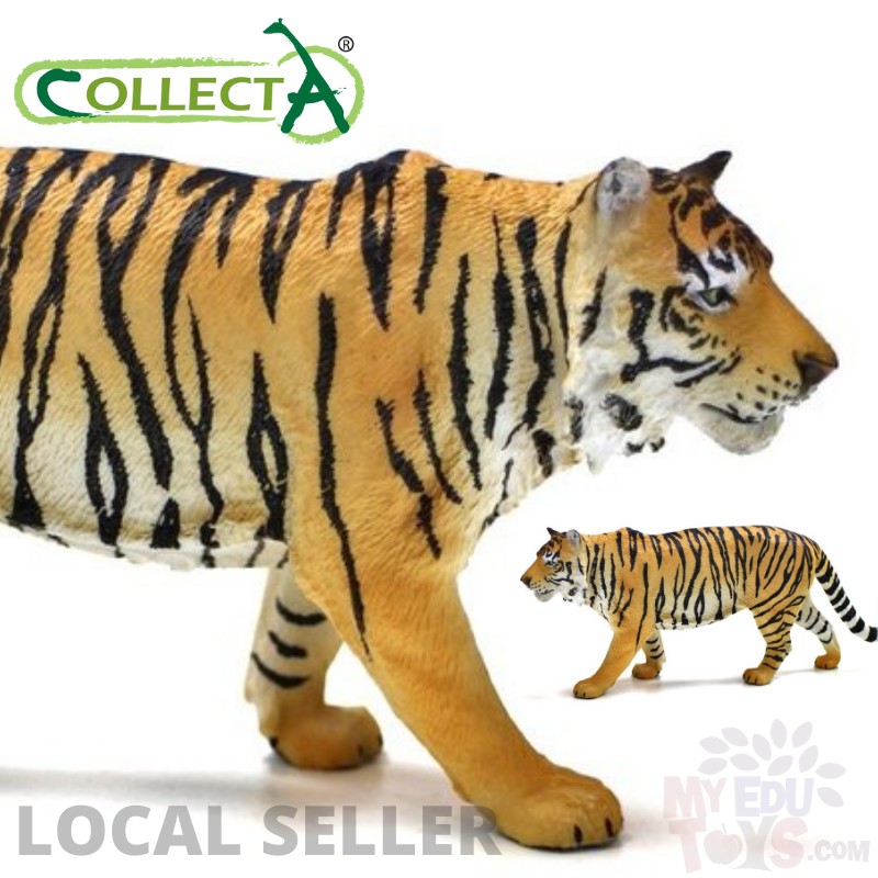 Siberian Tiger - Collecta 88789 Wild Life Animal Action Figures / Toys ...