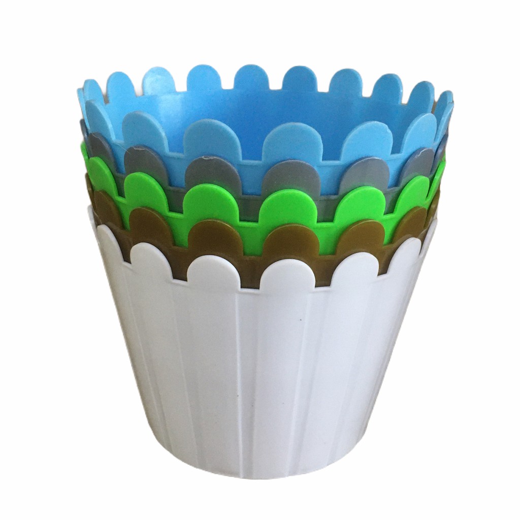 CORONA King Size Big Succulent Cactus Flower Pot | Shopee Philippines