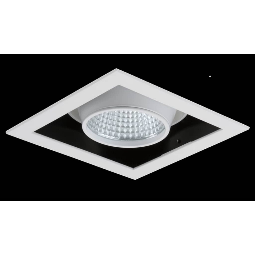 Digital Addressable Lighting Interface 10W 3000K (WARM WHITE) | Shopee ...