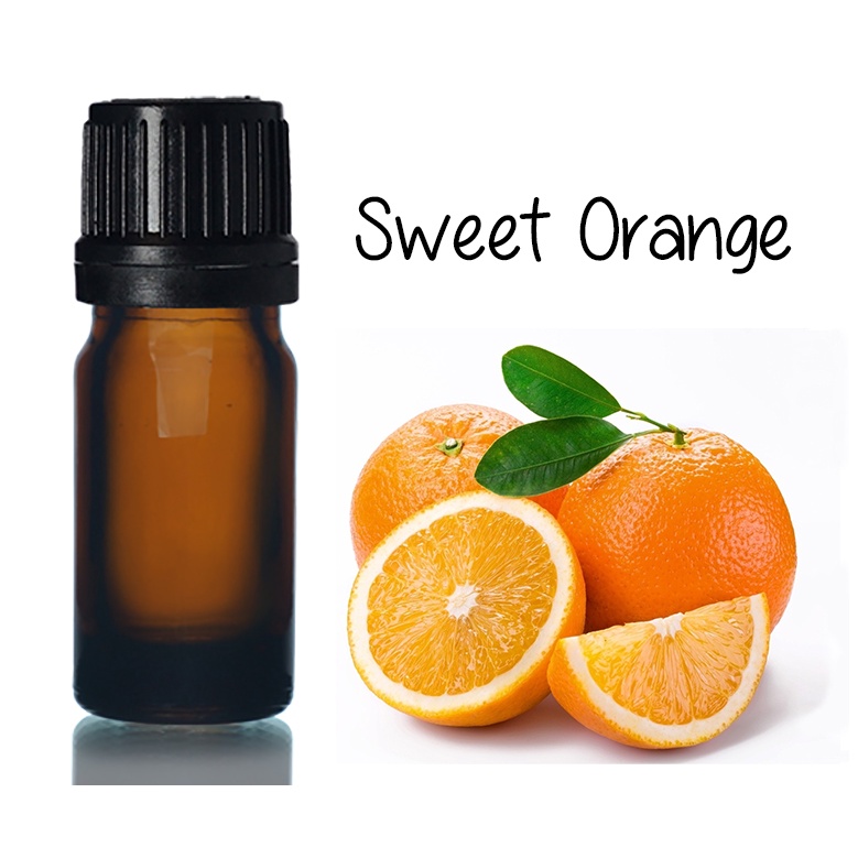 Pure Sweet Orange essential oil 5ml | Shopee Philippines