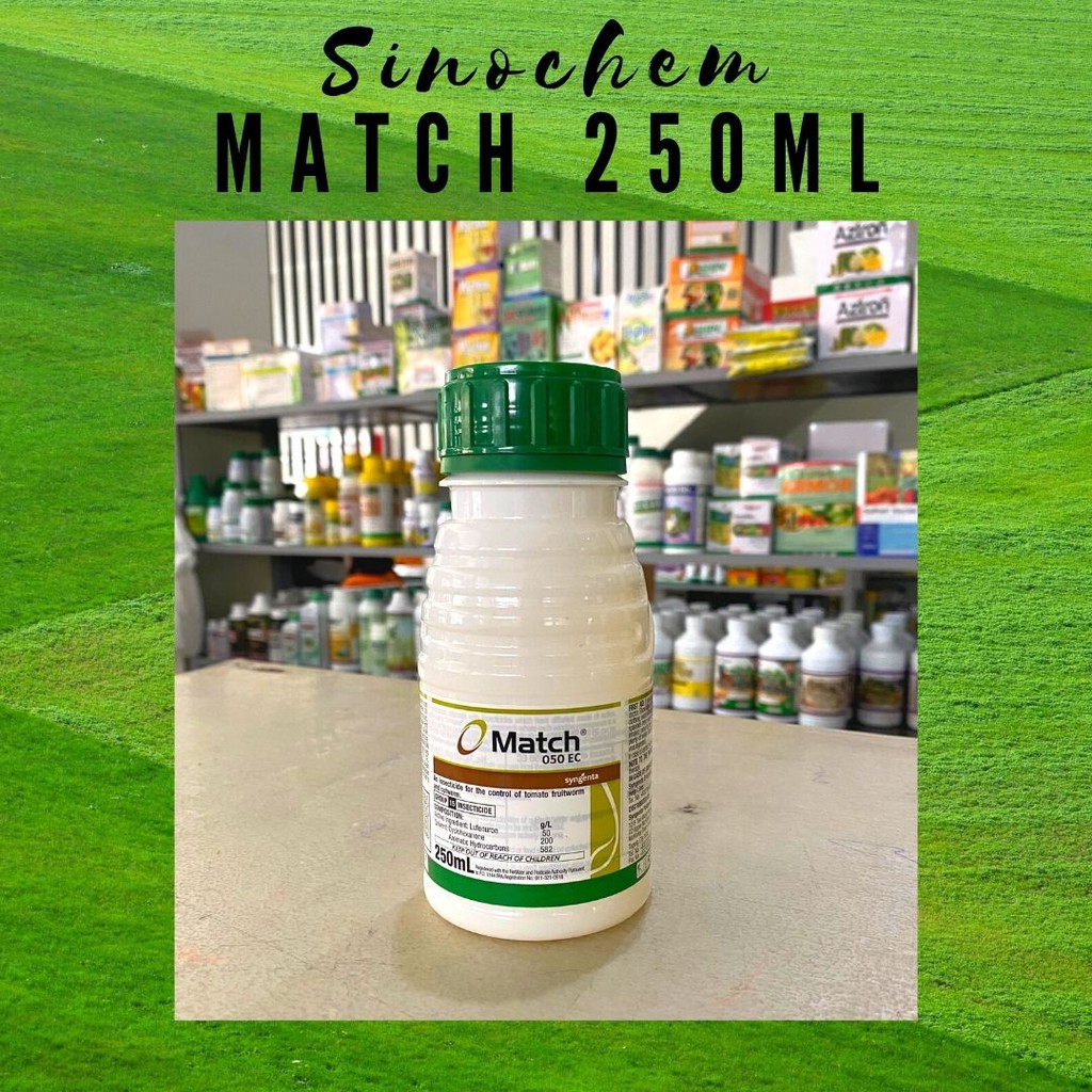 Syngenta MATCH Insecticide 250ml | Shopee Philippines