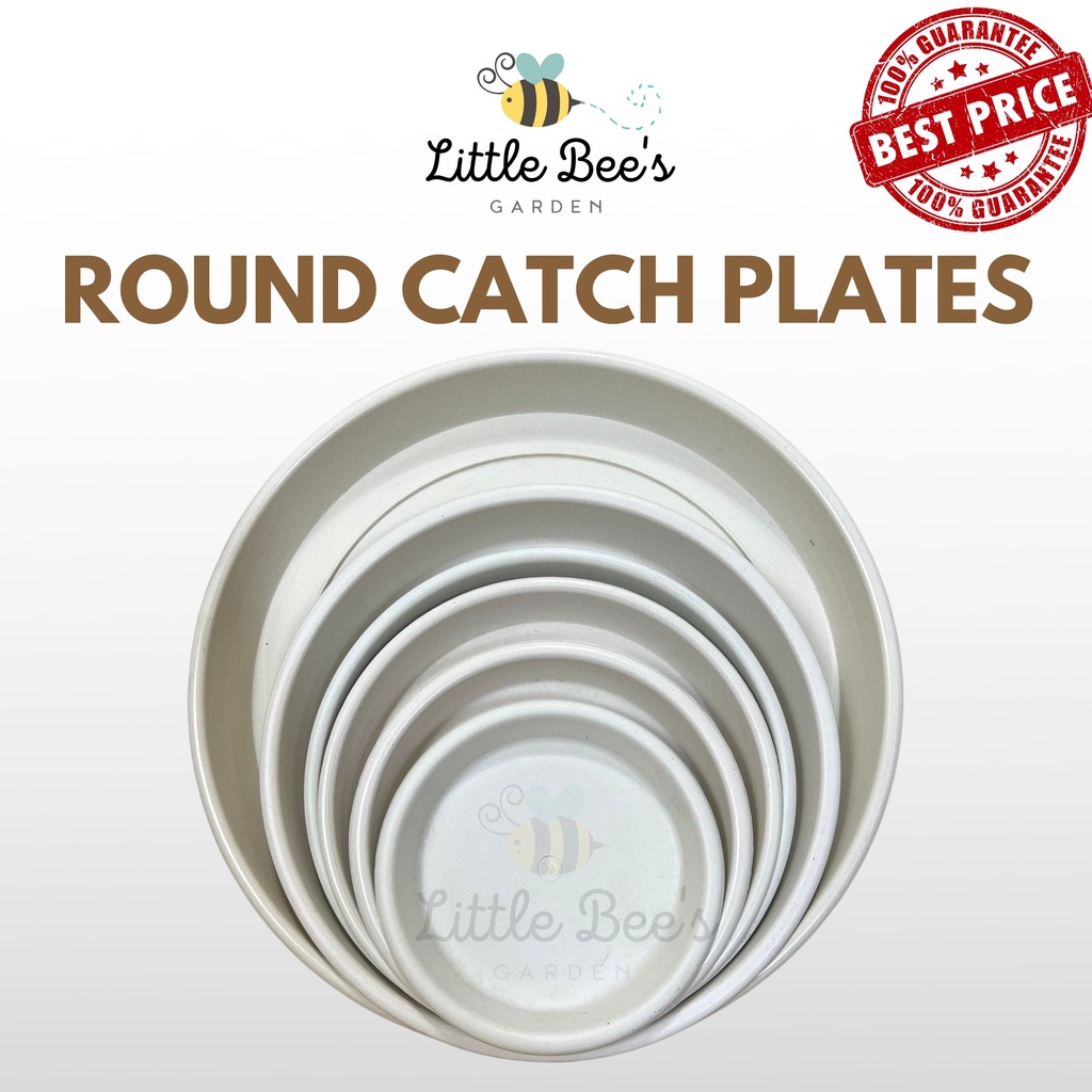 Round Catch Plates [Little Bee's Garden] | Shopee Philippines