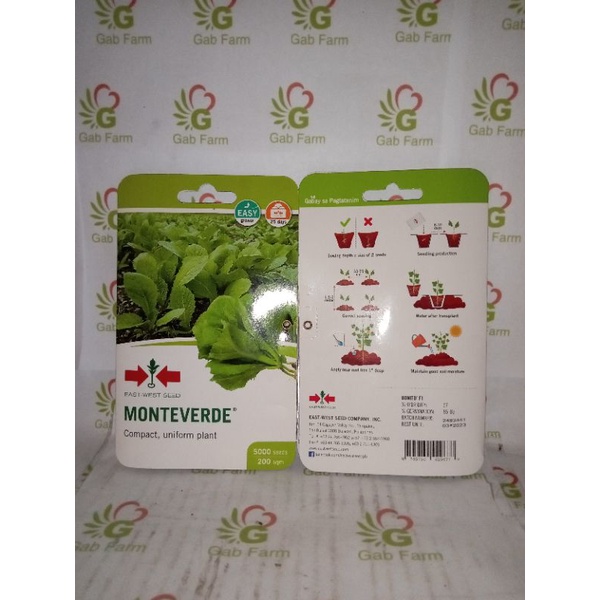 East-WestSeed Monteverde Mustasa (Vegetable Seed Pack) | Shopee Philippines