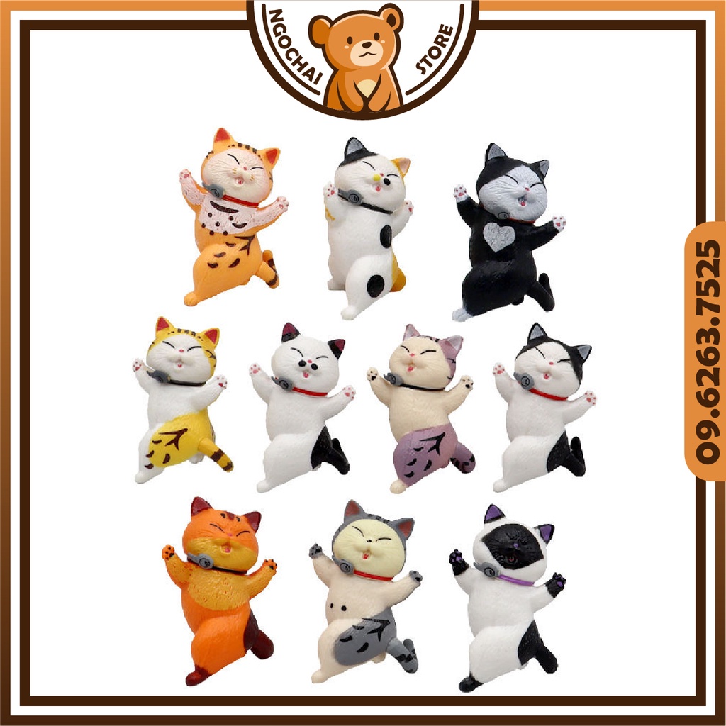 01 Random Adorable Peek-a-Boo Baby Cat Model | Mini Desktop Cat ...