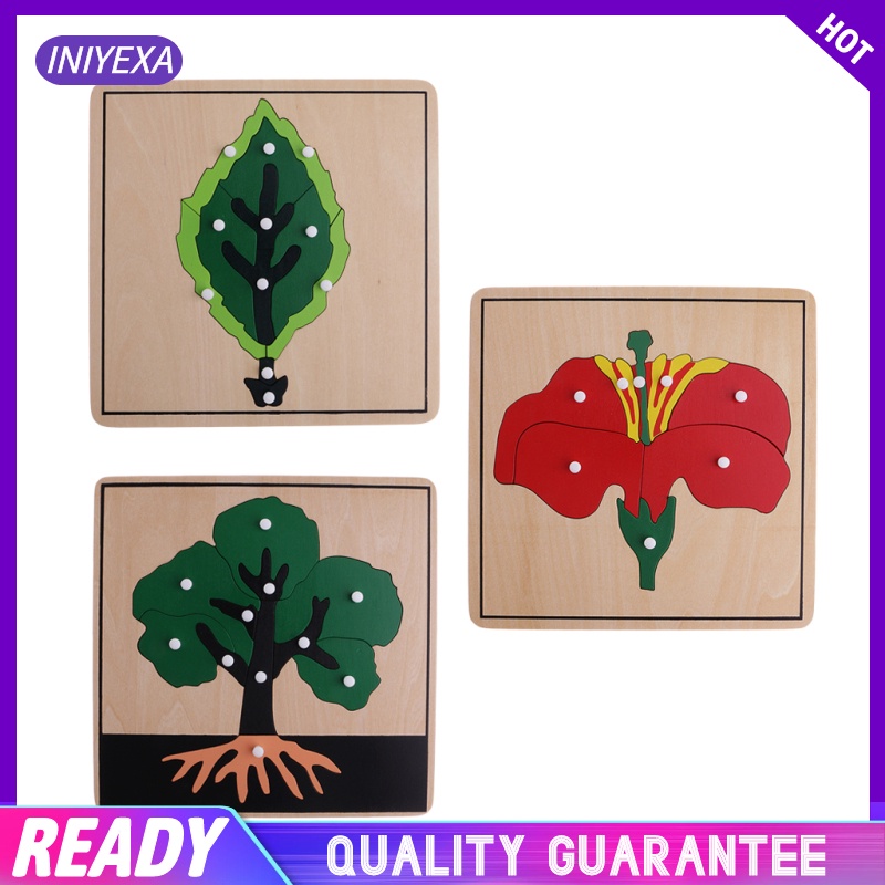 Botany Material - 3 Plant Shape Puzzles for Kids Educational Toys ...