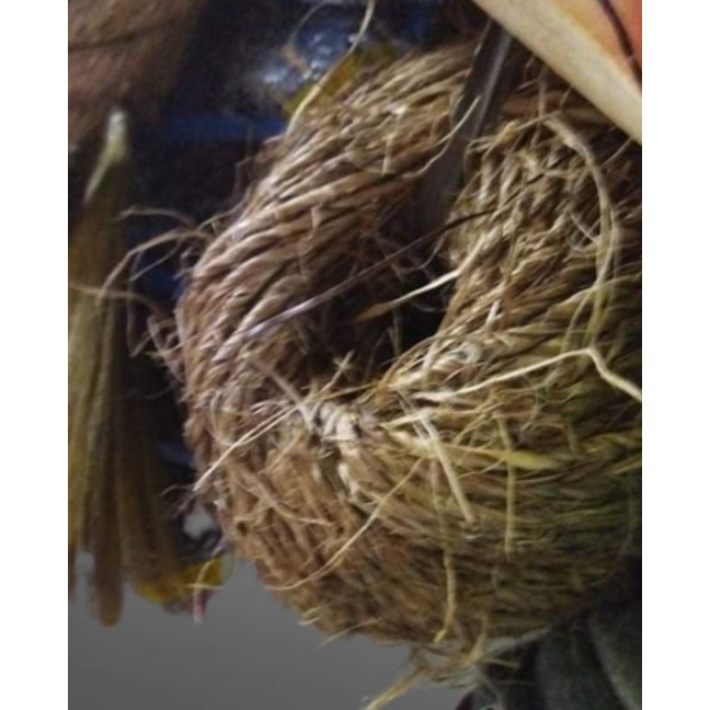 ABACA BALL (4 to 5mm) (per roll) | Shopee Philippines