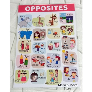 OPPOSITES Chart | A4 Size | Laminated Educational Wall Charts, Chart ...