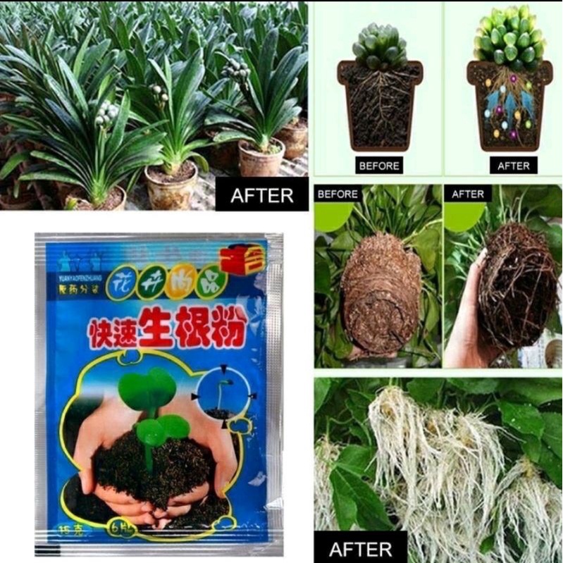 Rooting Powder Rapid Growth for Plants | Shopee Philippines