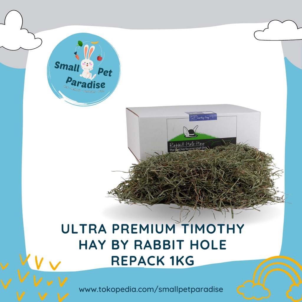 Timothy HAY Grass Rabbit Marbit TORTOISE REPACK 100gr | Shopee Philippines