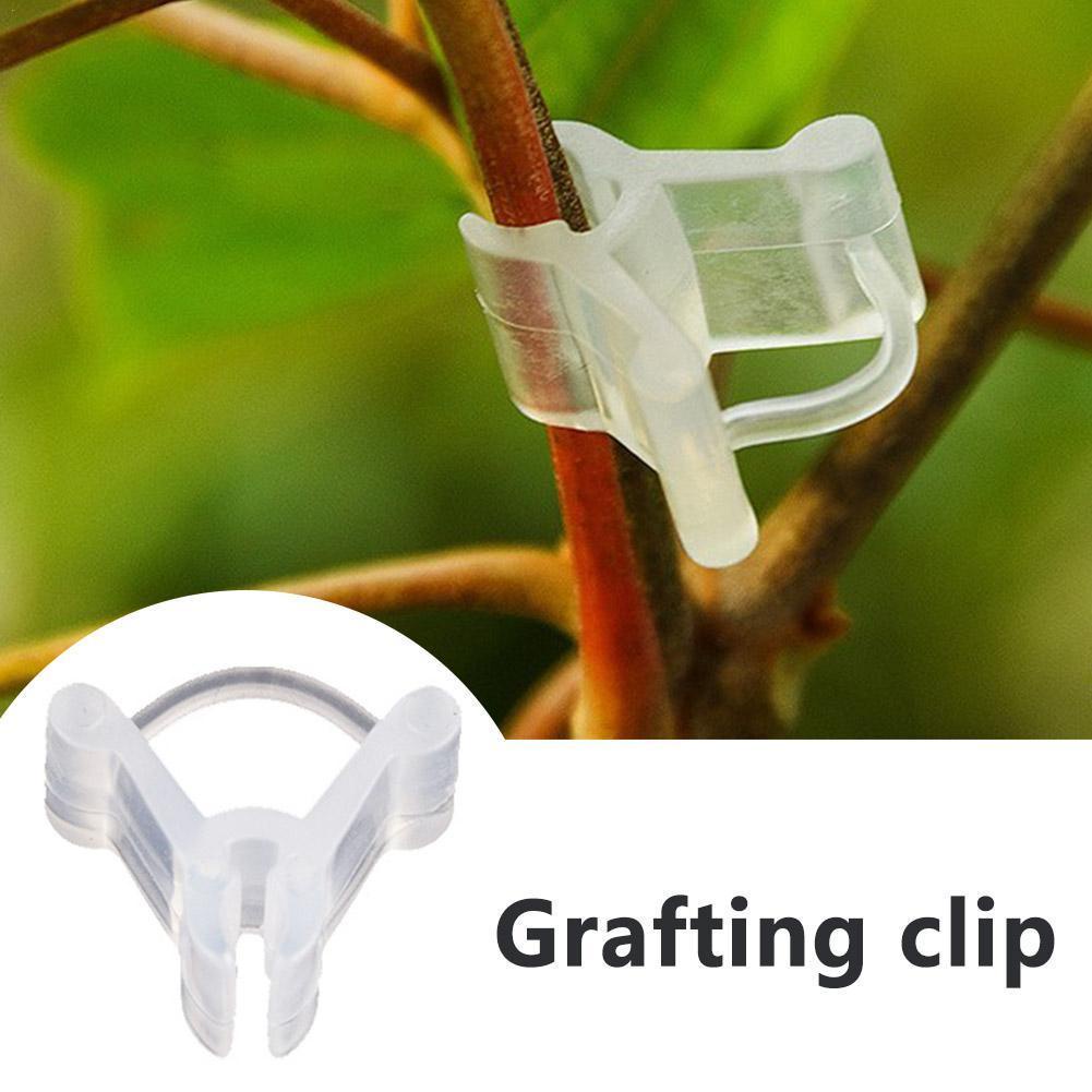 Hot No.1-Fast Shipment [Yumall] 1 Plastic Garden Grafting Clip Flower ...
